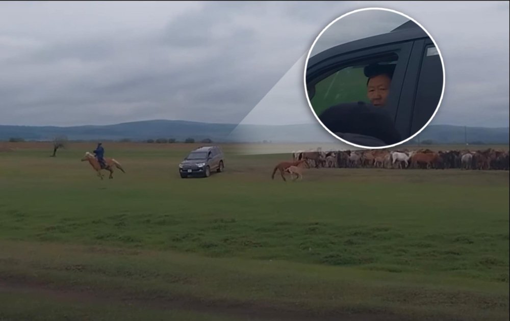 Сэлэнгэ аймгийн цагдаагийн газраас иргэн Л Чинбатыг яллагдагчаар татах саналыг прокурорт хүргүүлжээ